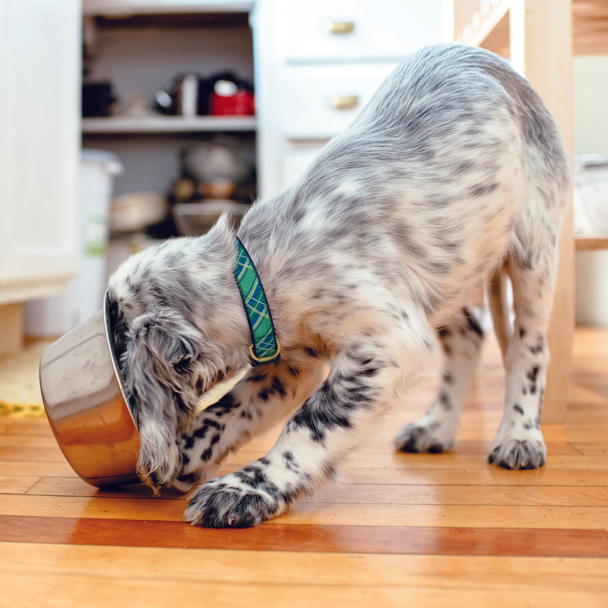 Retiring in 2022 – tagged "Food and Drink" – Up Country Inc